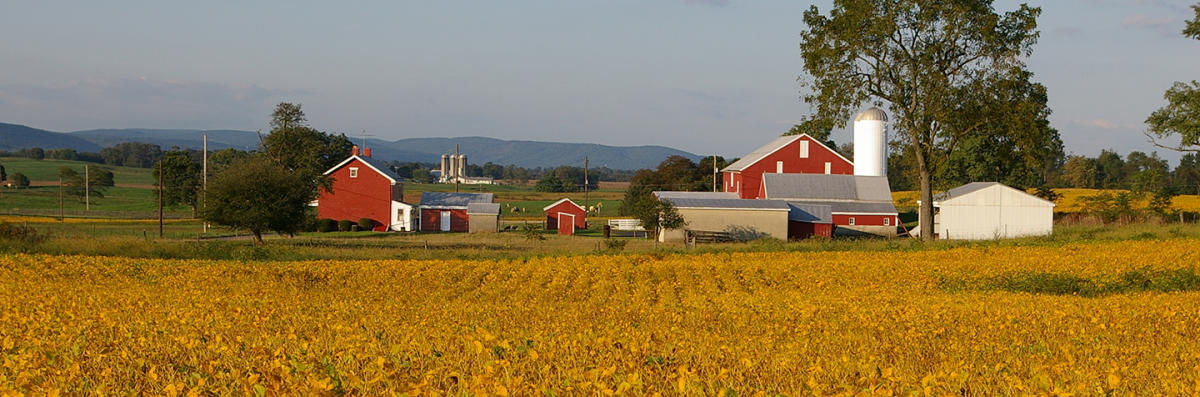 Newville PA in Cumberland Valley | Conodoguinet Creek