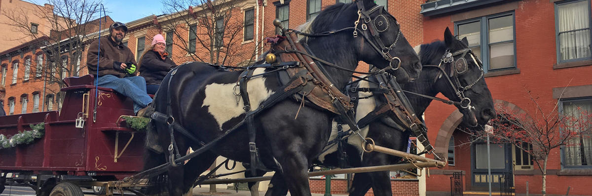 Carlisle's Wonderland Weekend | Nov. 30- Dec. 5, 2023