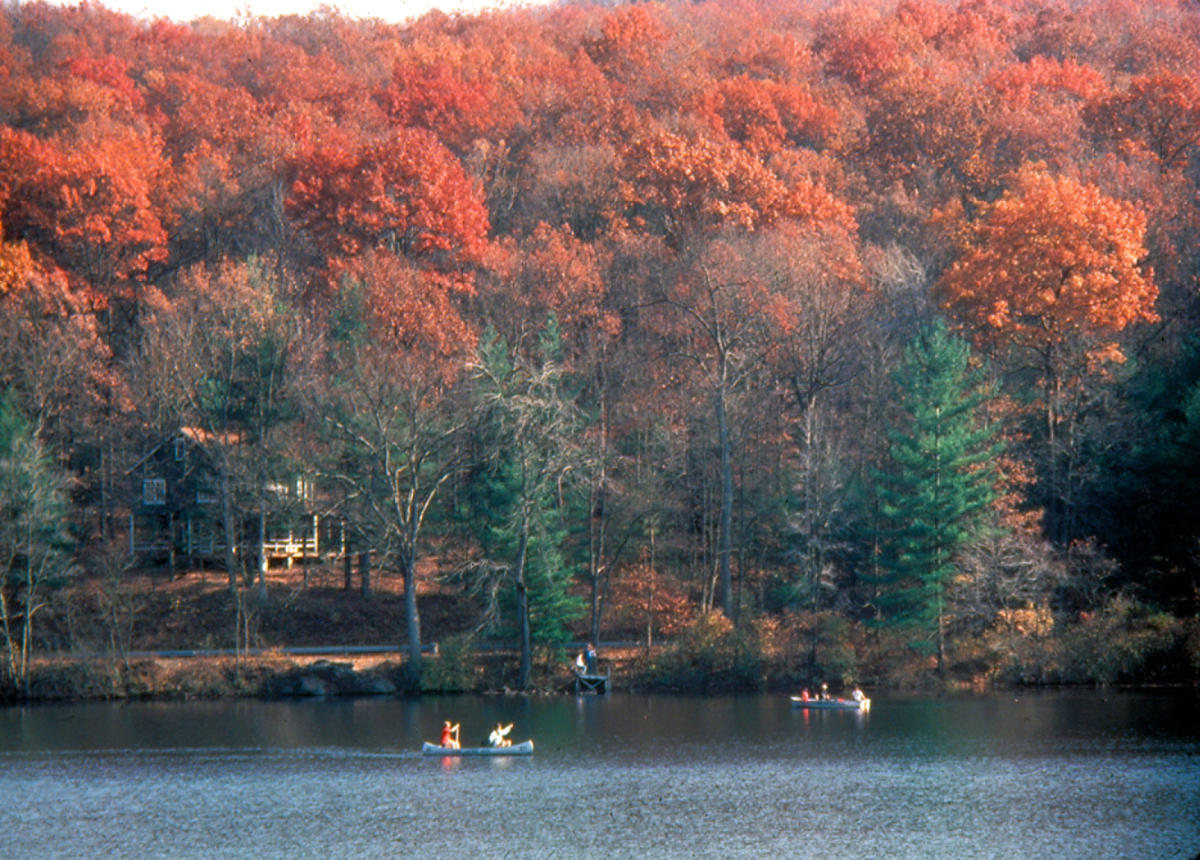 fall in lake