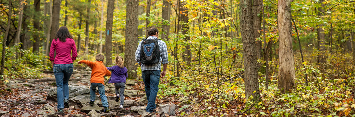 Fall Activities in Cumberland Valley | Seasonal Attractions