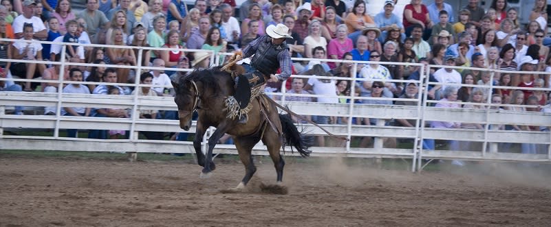 Mountain Top Rodeo | Discover Dahlonega