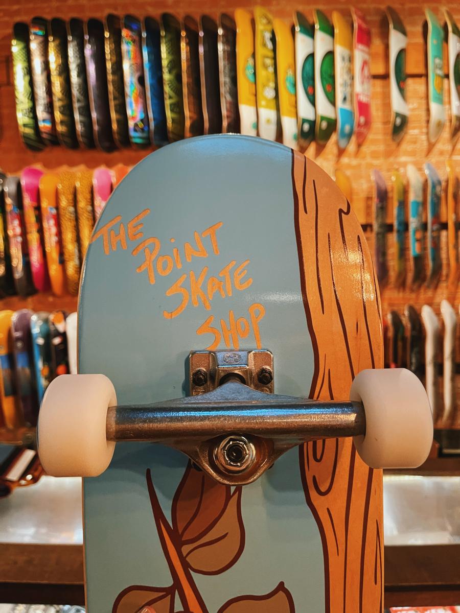 Find Custom Skateboards, Lessons, & an Indoor Skate Bowl at The Point ...
