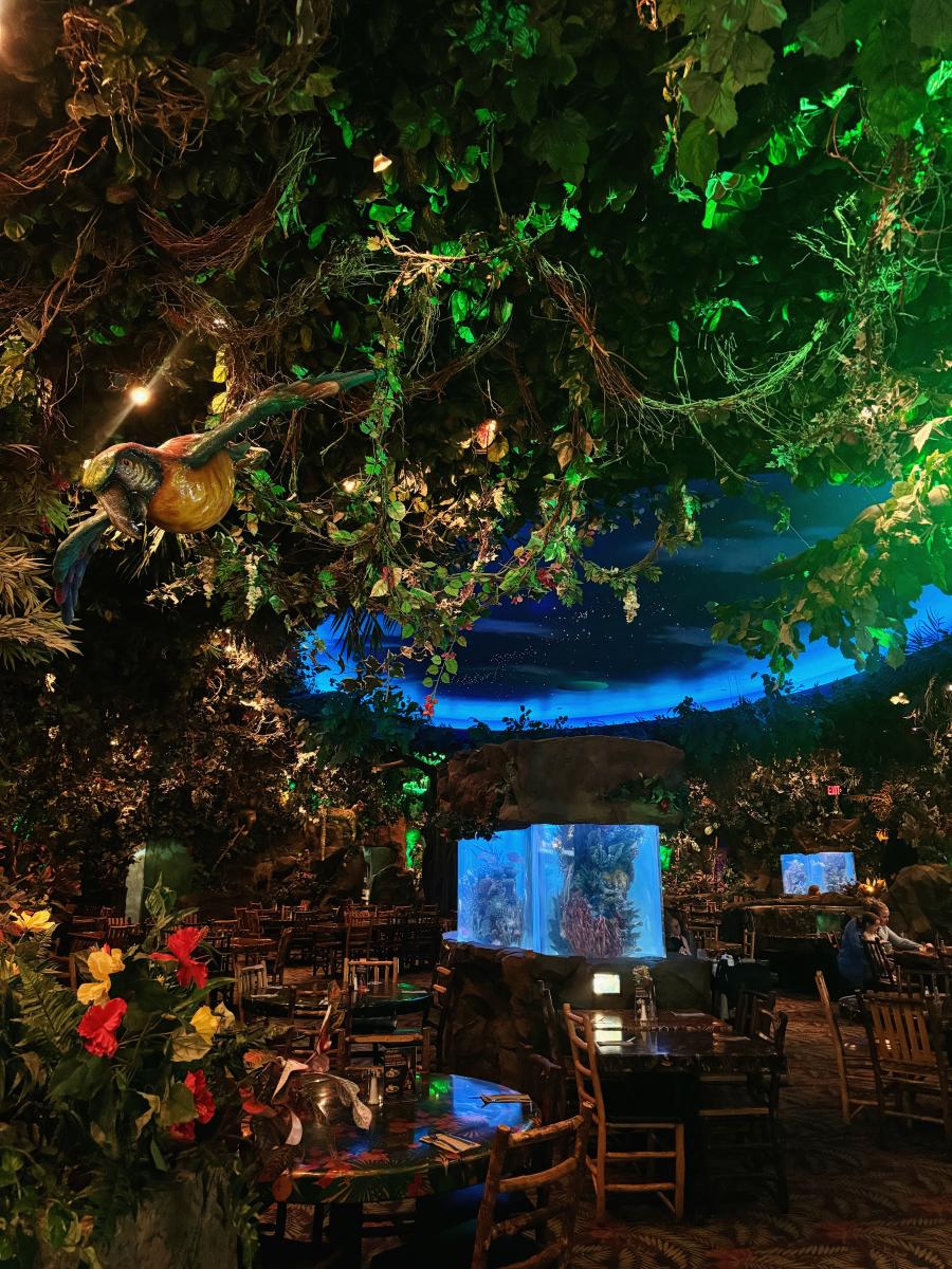 magical forest cafe