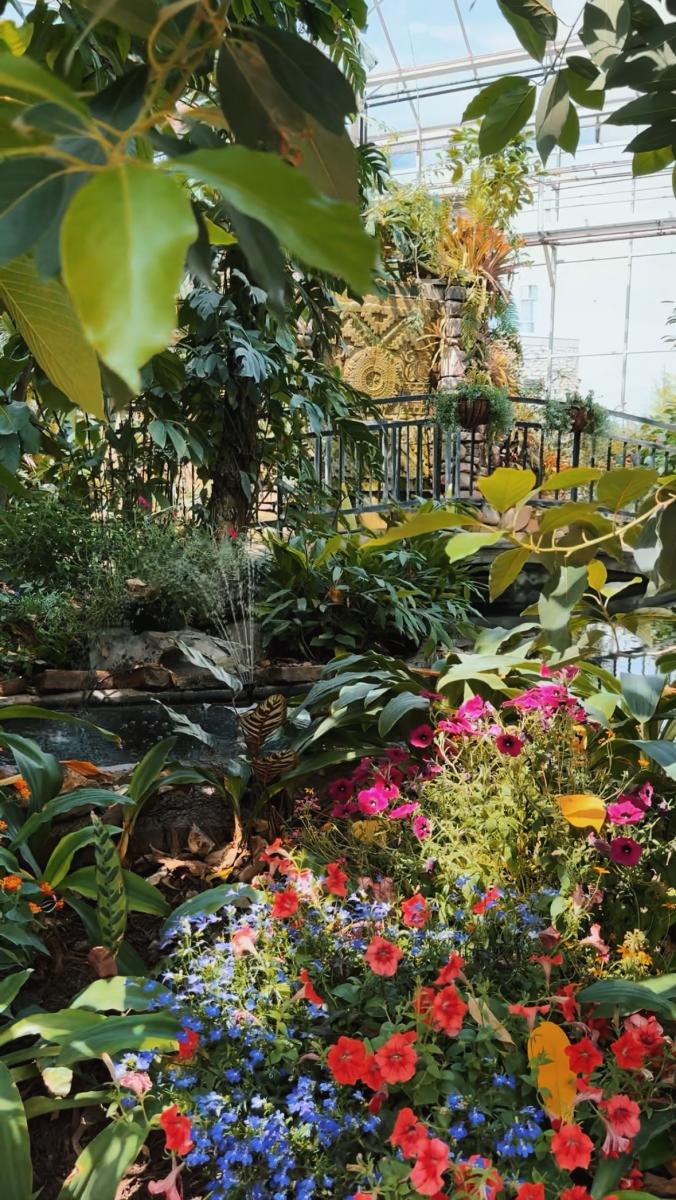 The Immersive Butterfly Garden Exhibit at the Fort Worth Botanic Garden ...