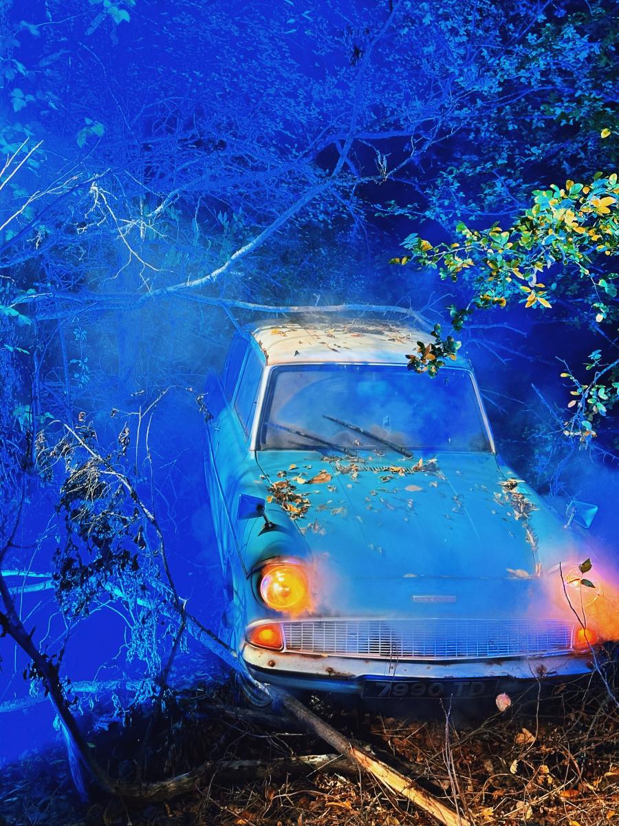 Wands at the Ready! Harry Potter: a Forbidden Forest Experience is Now ...