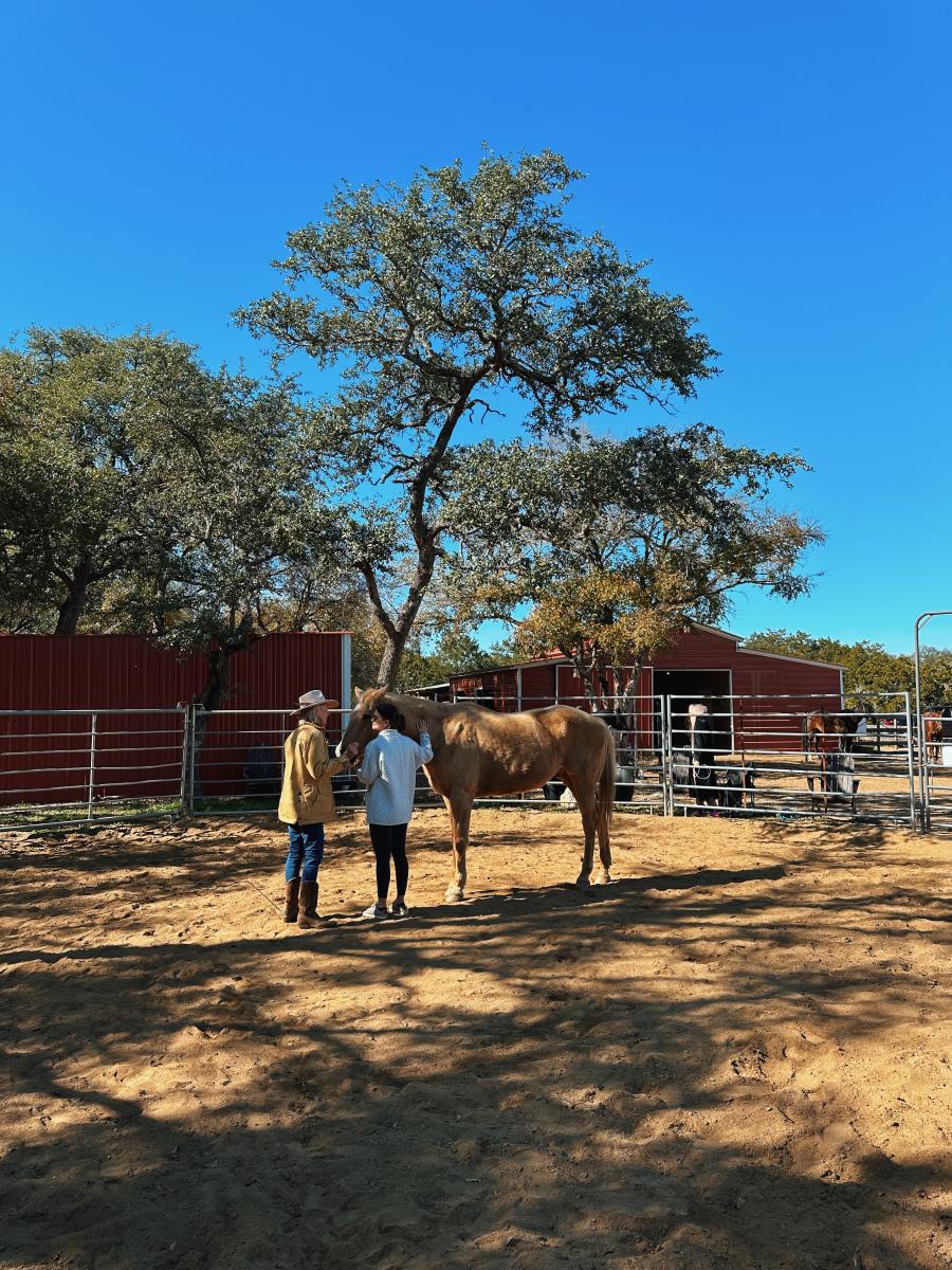 Escape to the Texas Hill Country for a Relaxing & Healing Experience at ...