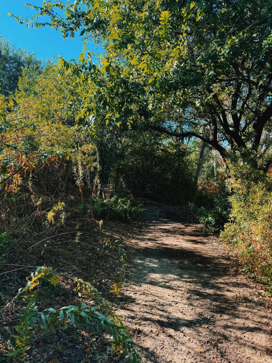 Find Laura W. Bush Native Texas Park, a Gorgeous 15-Acre Hidden Gem ...