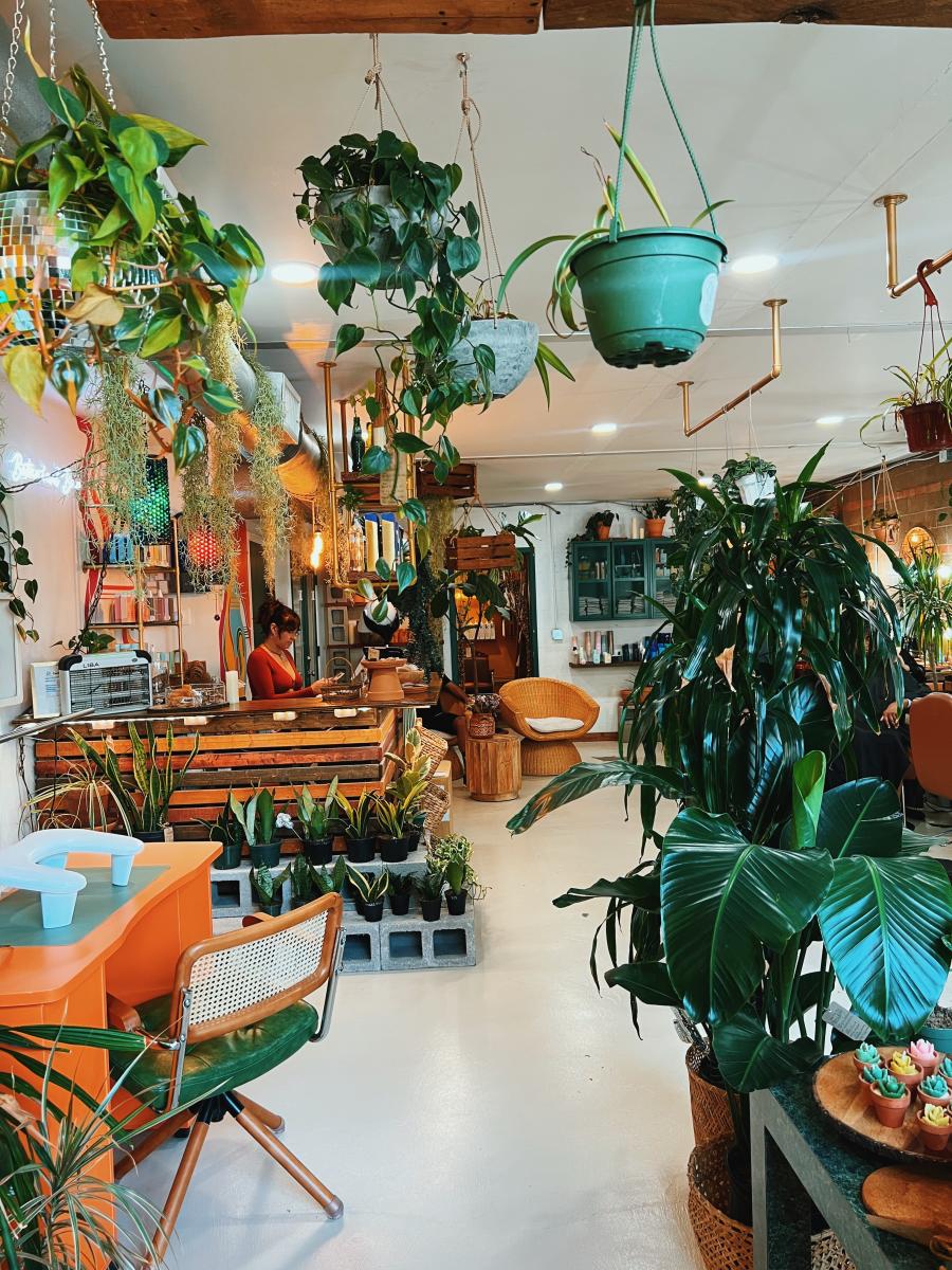 Meet Crecer, A Latina-Owned Hair Salon-Meets-Plant Shop in Bishop Arts