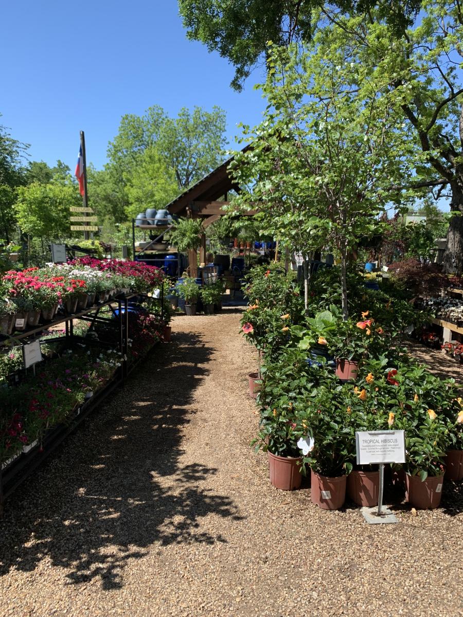 spring garden centre