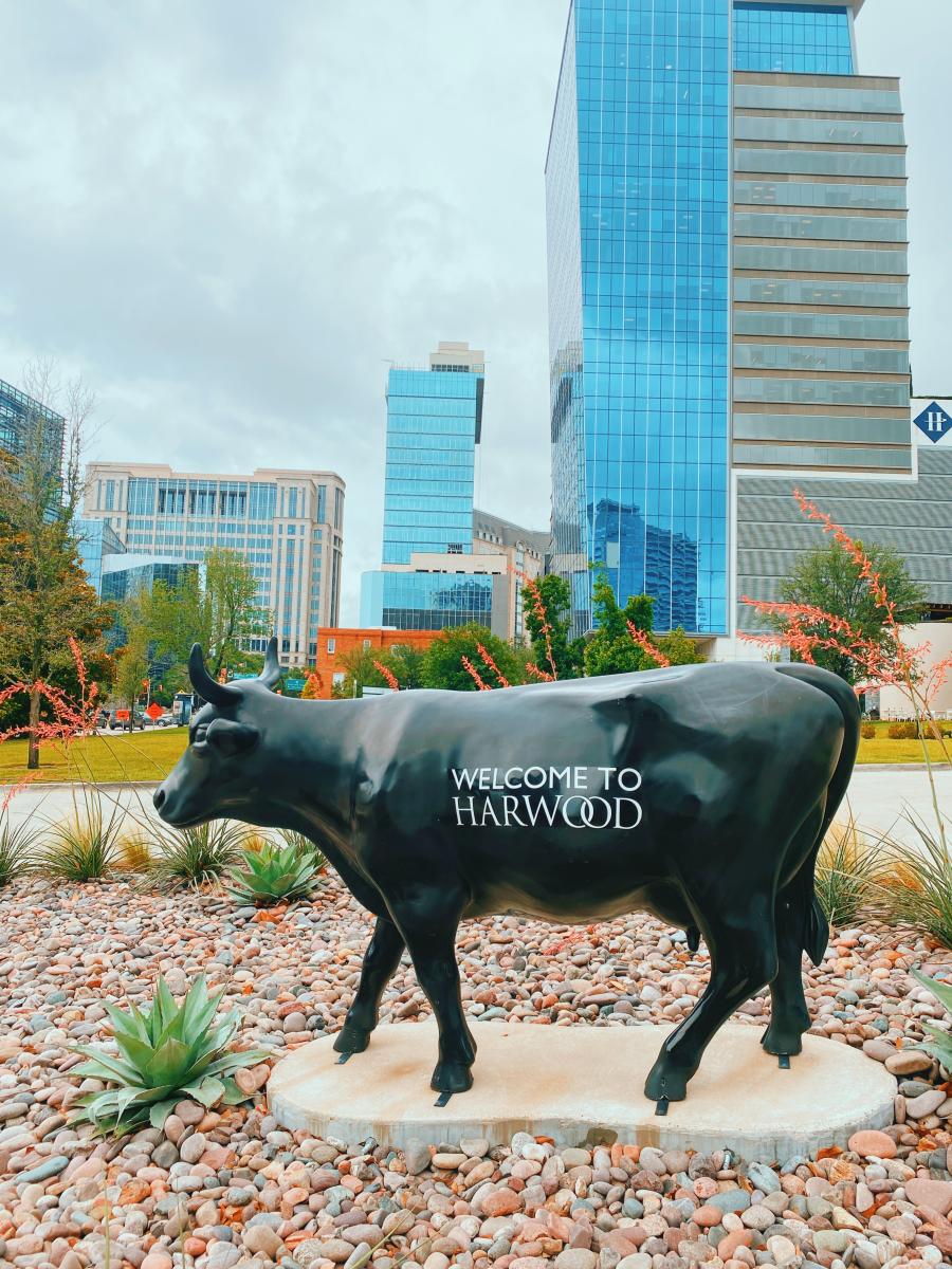 Neighborhood Guide: Harwood