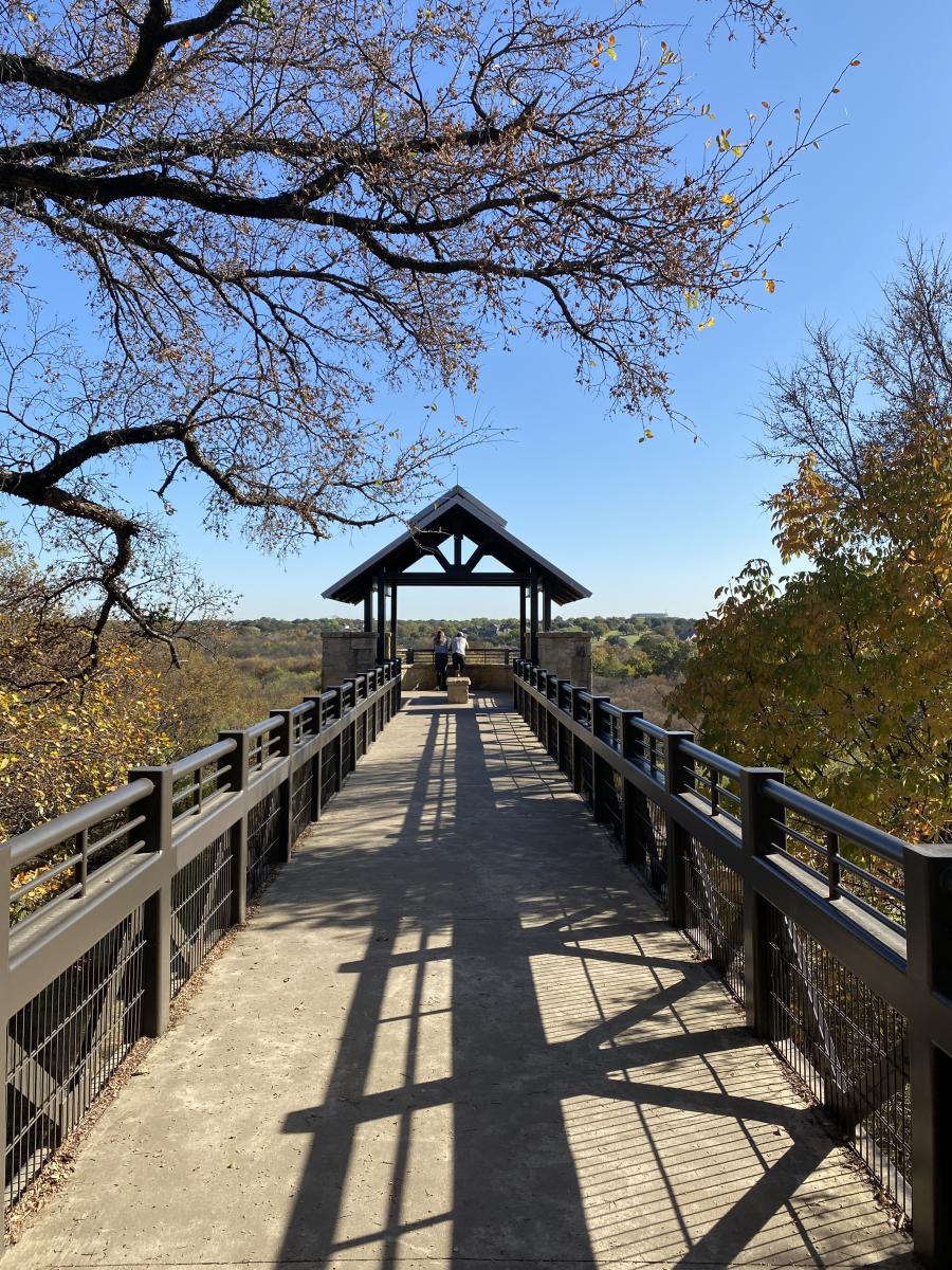 Where to See Fall Foliage Around Dallas