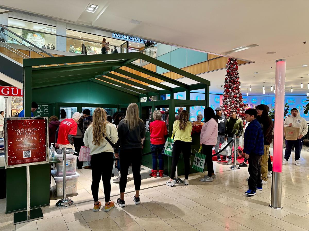 Adopt a Pet in Need This Holiday at the Operation Kindness Pet Adoption ...