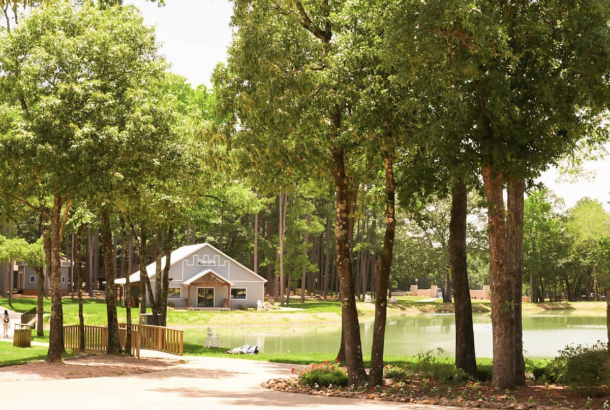 Summer Camps in Texas for Kids to Know About