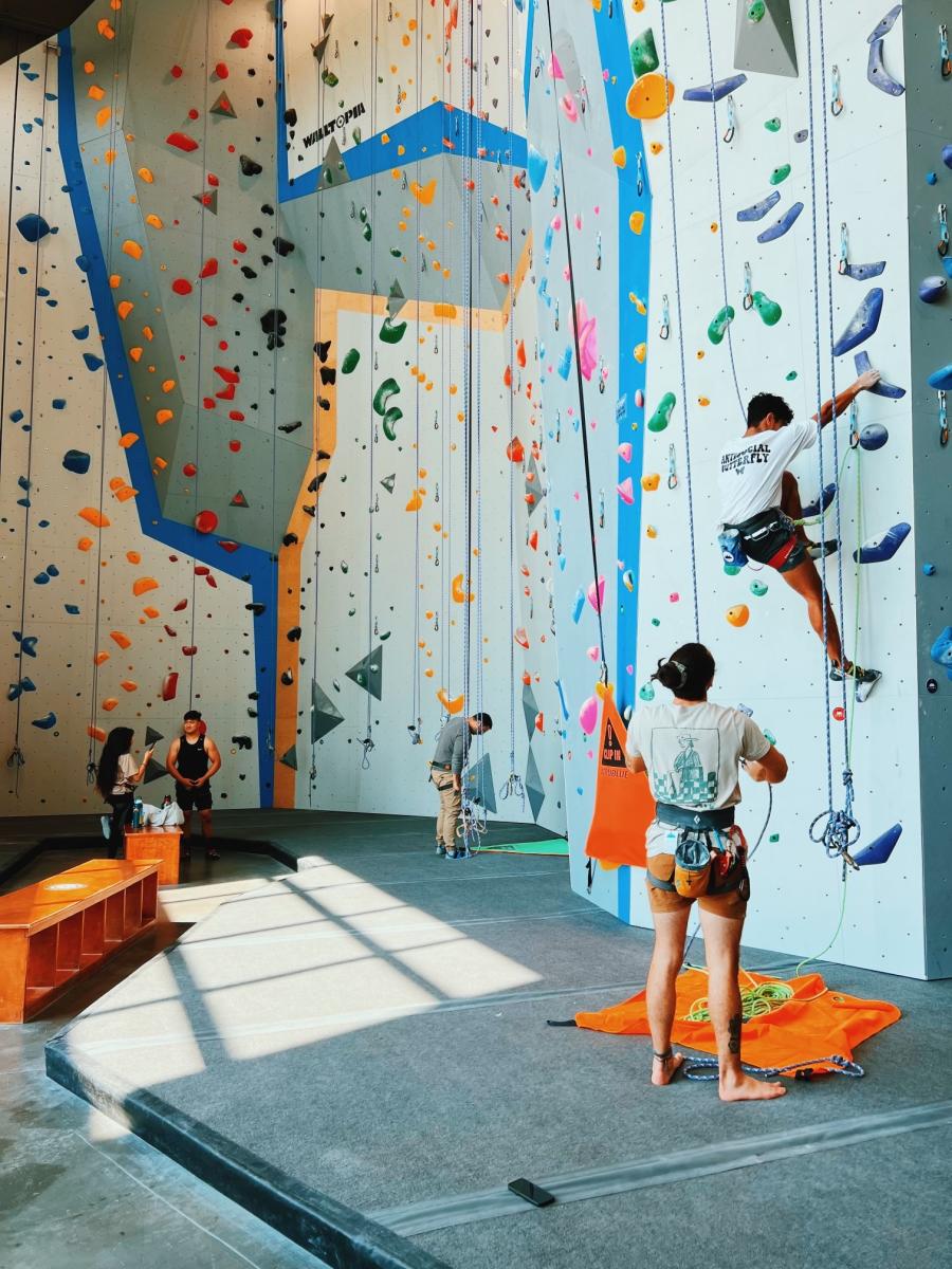 Summit rock climbing store