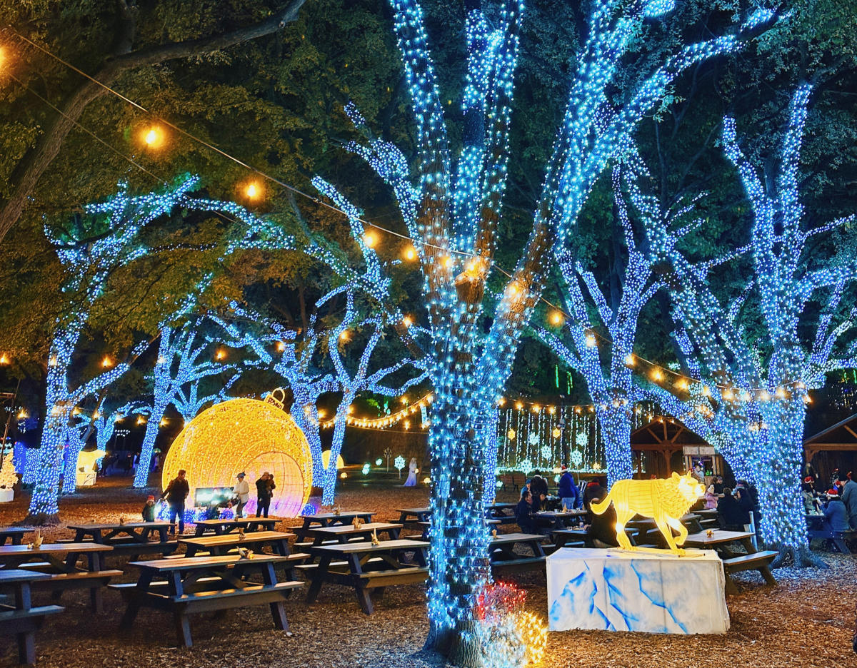 13 Must-Do Holiday Light Experiences Around Dallas