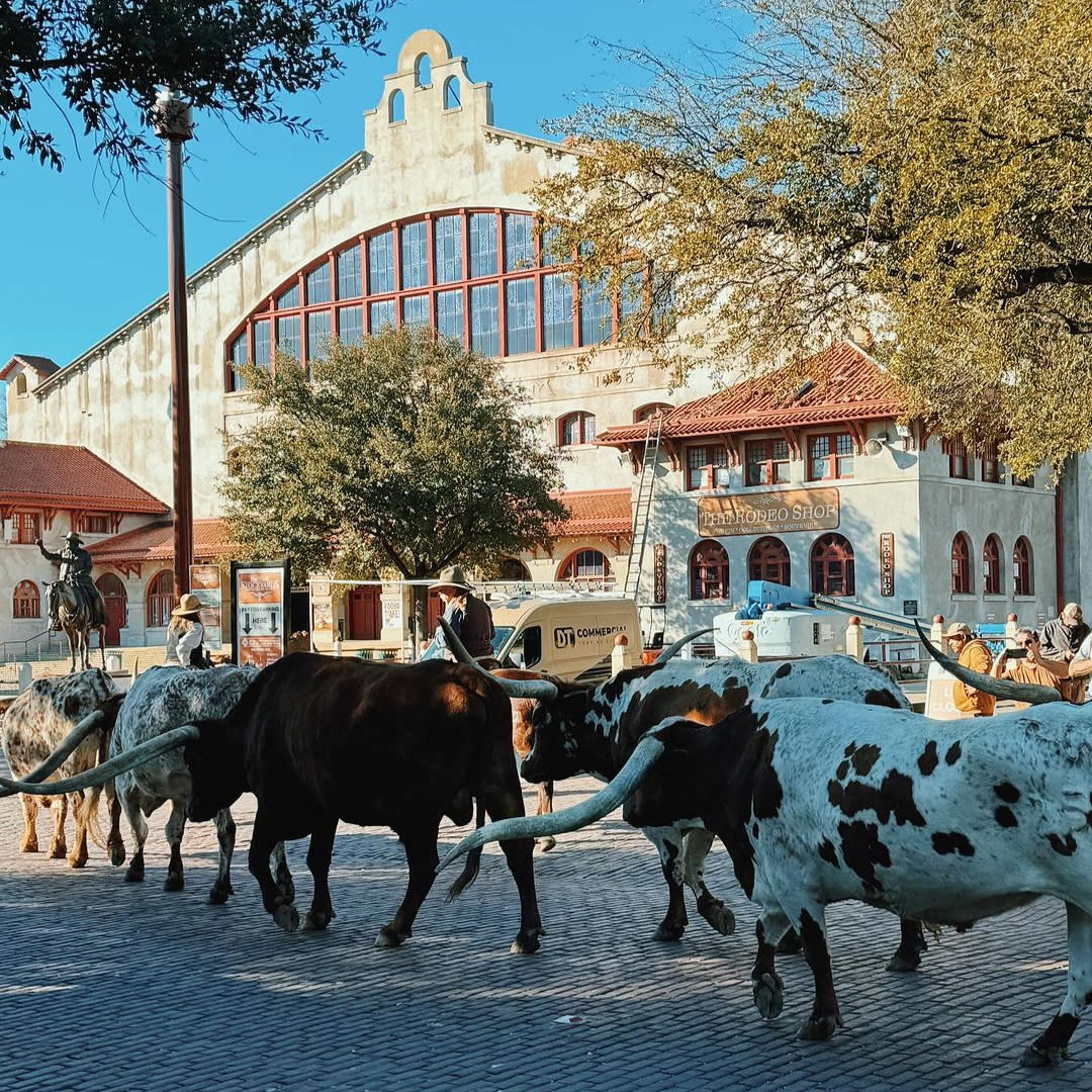 10 Totally Texas Things to Do in Fort Worth