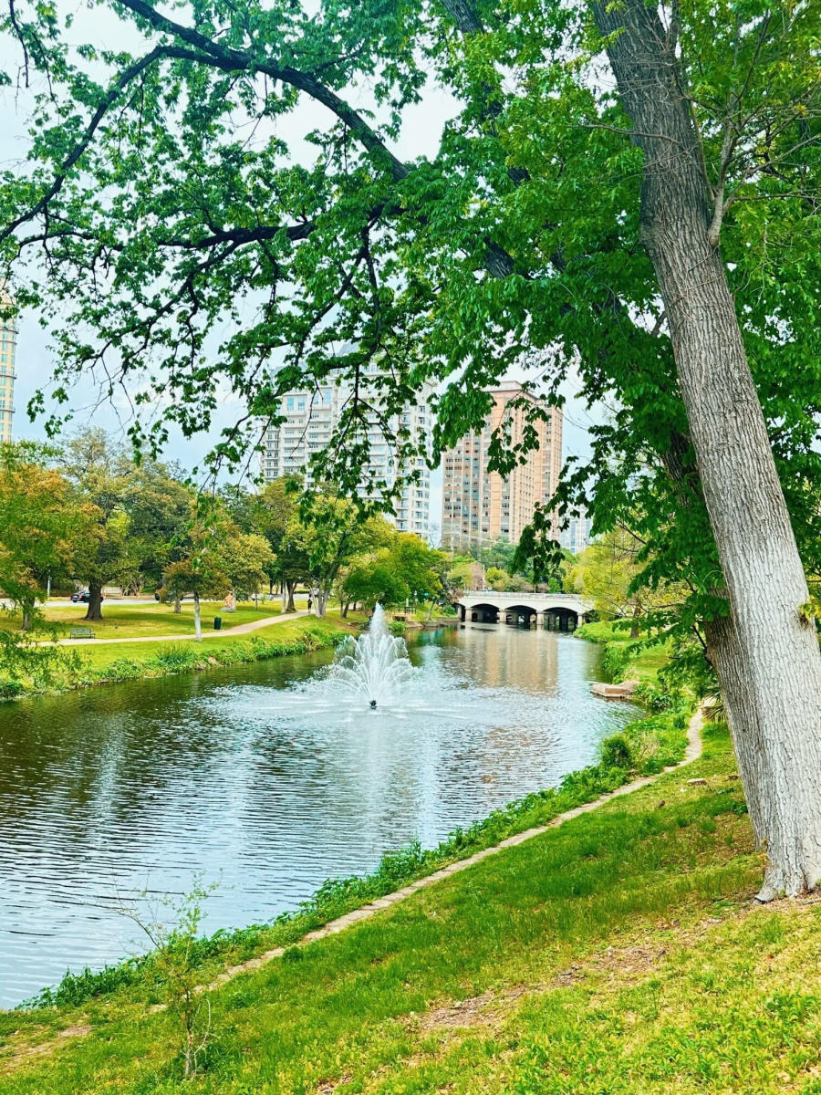 Highlighting Turtle Creek Park Conservancy's Free Events in a Stunning ...