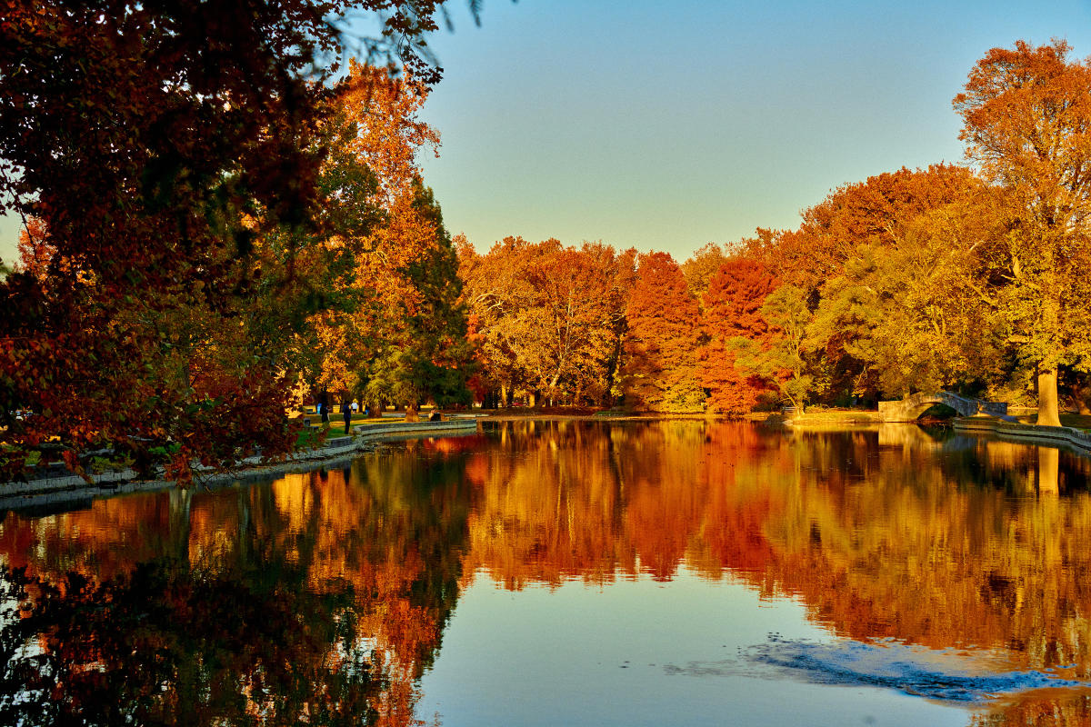 Take a Hike! 10 Places to See Amazing Fall Foliage | Things to Do in ...