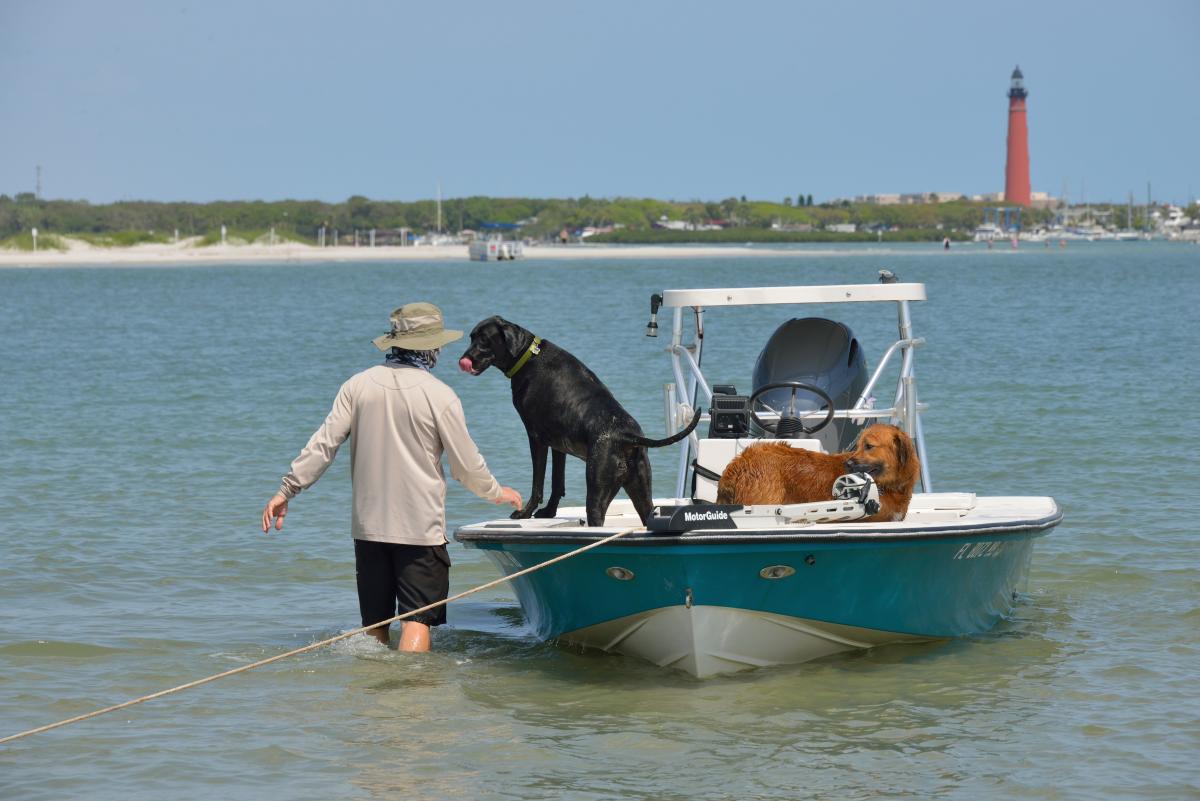 Daytona Beach's Pet-Friendly Hotels, Restaurants & Activities