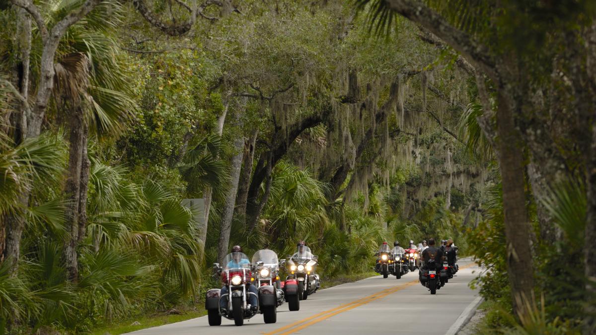 The Loop in Daytona Beach