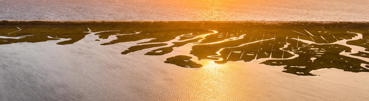 Things to Do in Dewey Beach | Visit Delaware