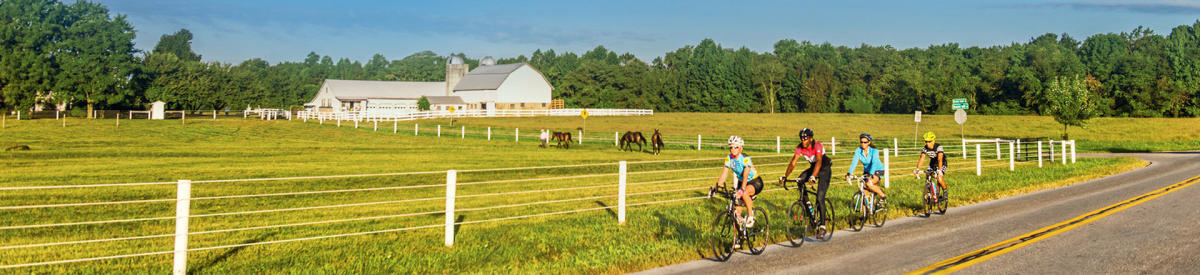 Biking in Delaware | Visit Delaware