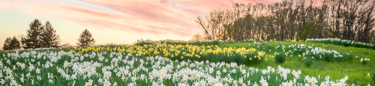 Delaware's Spring Must-Do's | Visit Delaware