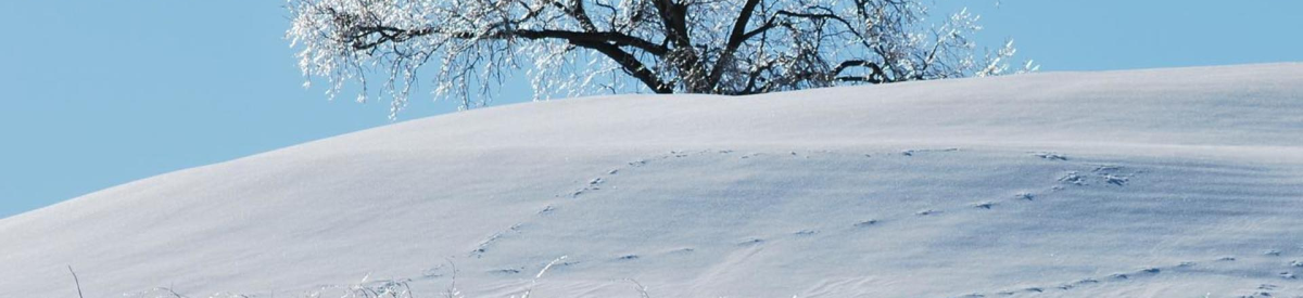 Winter in Delaware | Visit Delaware