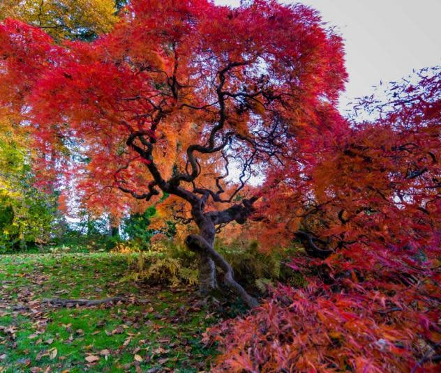 Fall Foliage in Delaware | Visit Delaware