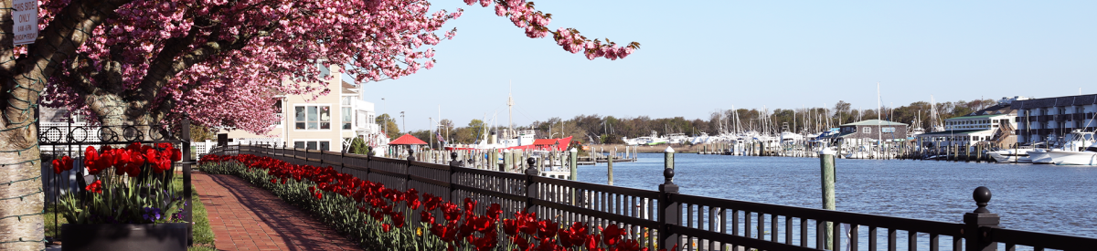Lewes | Visit Delaware