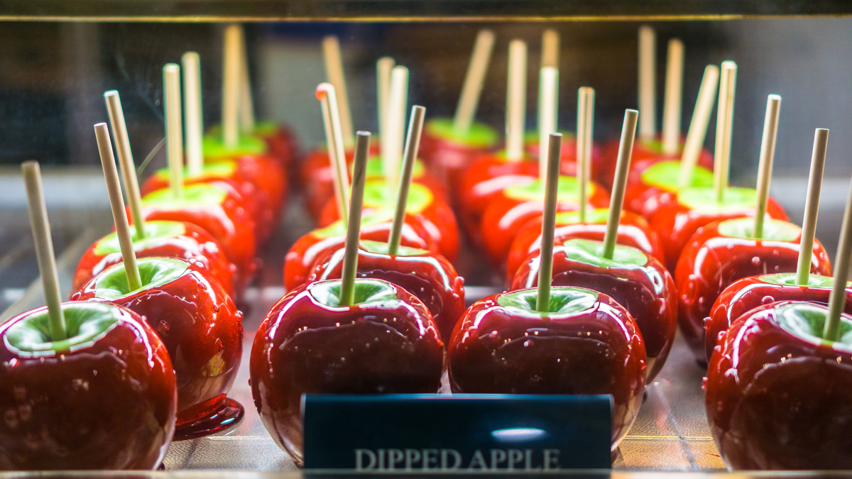 North Texas Fair and Rodeo Food Vendors | Funnel Cake, Corn Dogs, & More