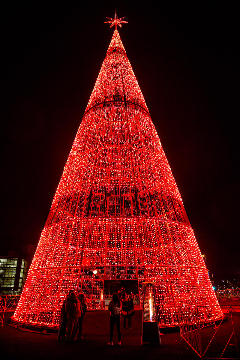 'Mile High Tree' Returns for Holidays as Part of Larger Effort for ...