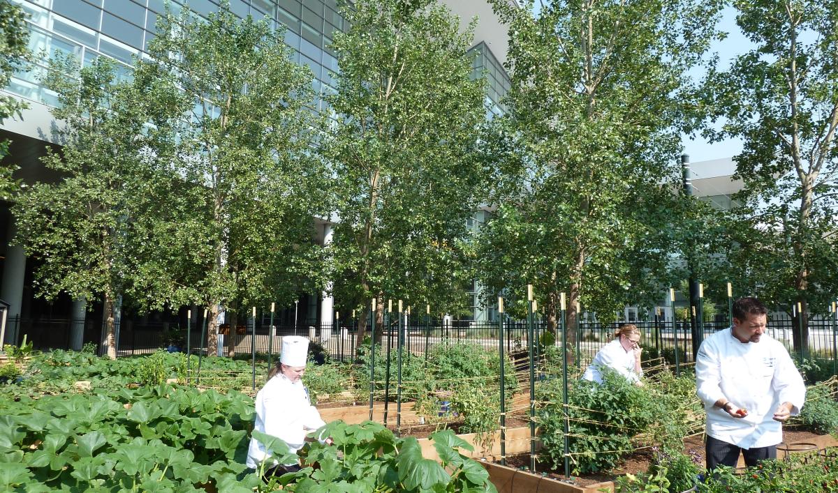 Green Meetings in Denver | Denver Sustainable Events