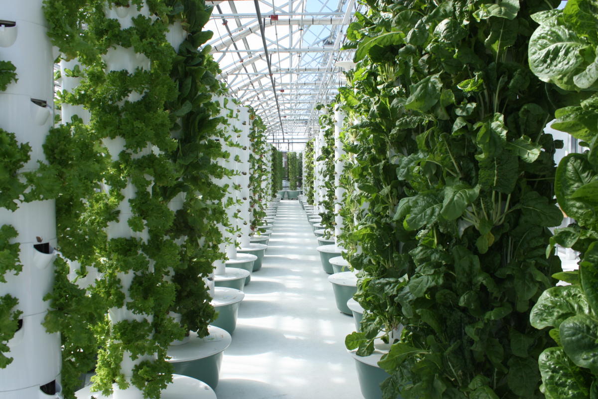 Urban Farming in Denver, Colorado