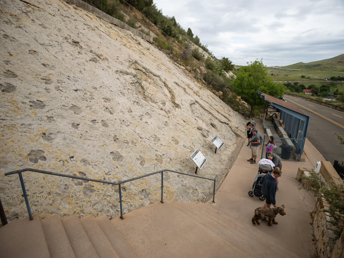 Only in Denver: Dinosaur Ridge | Visit Denver Blog