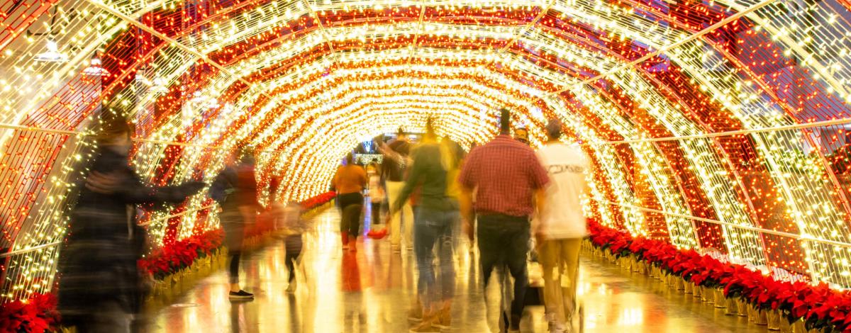 Where to See Denver Holiday Lights Events