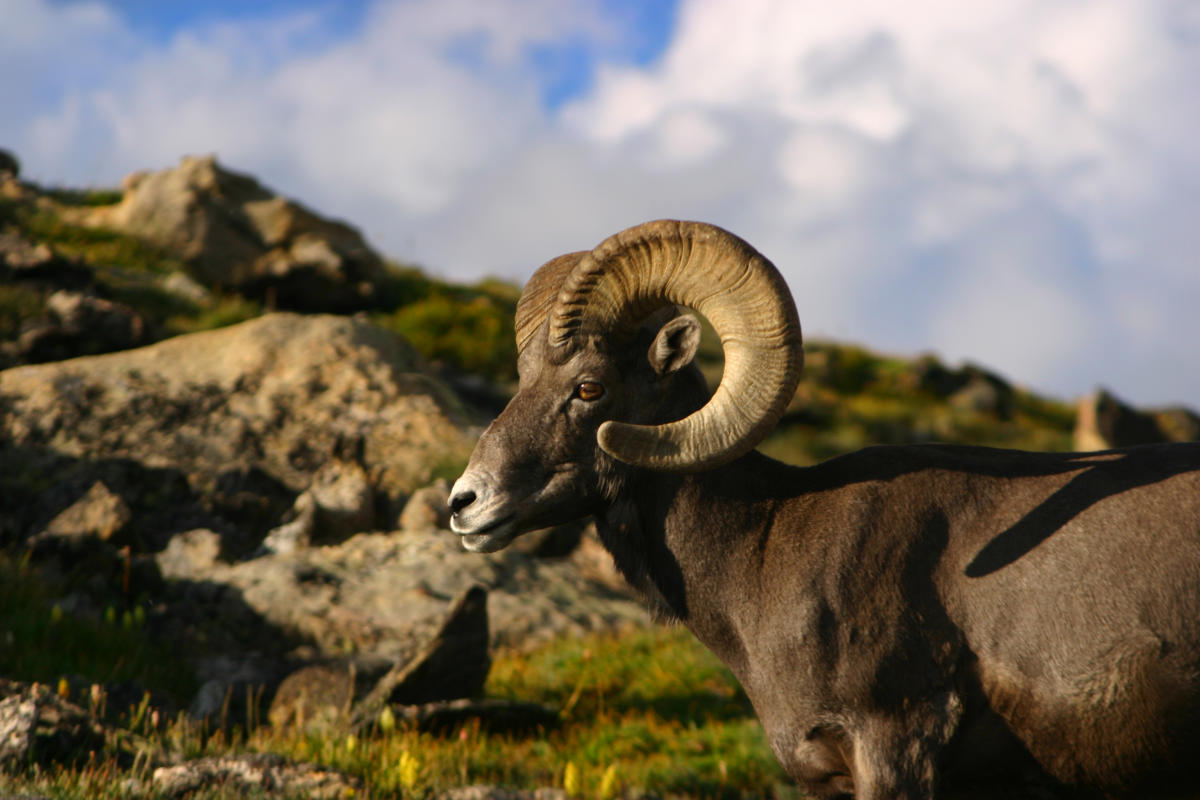 Colorado State Parks | Visit Denver