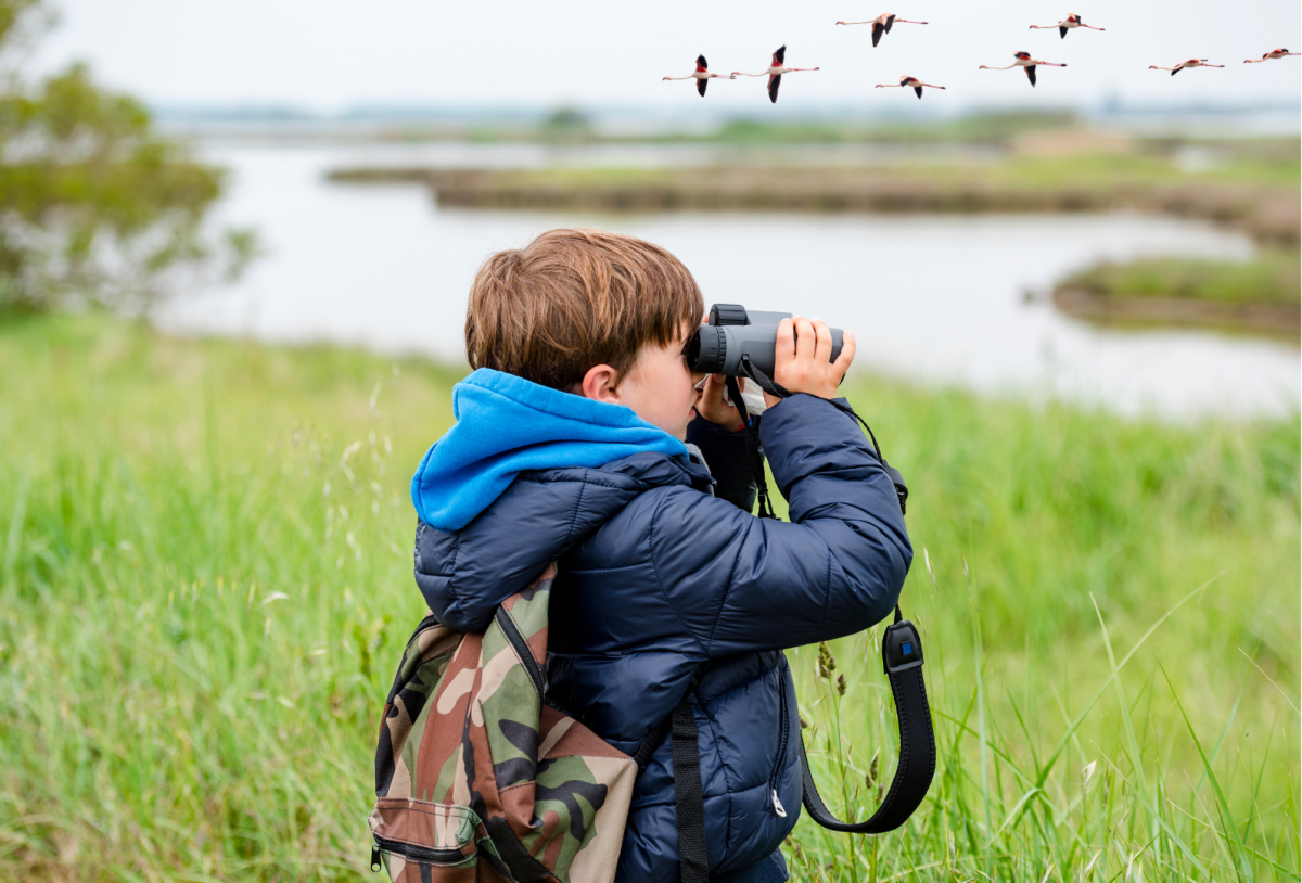 Best Birdwatching Spots Near Denver | Visit Denver Blog