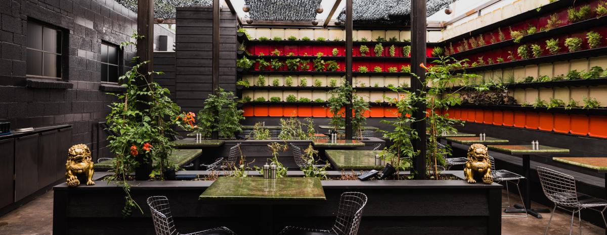 Denver Green Hotels, Bars and Restaurants for Your Visit
