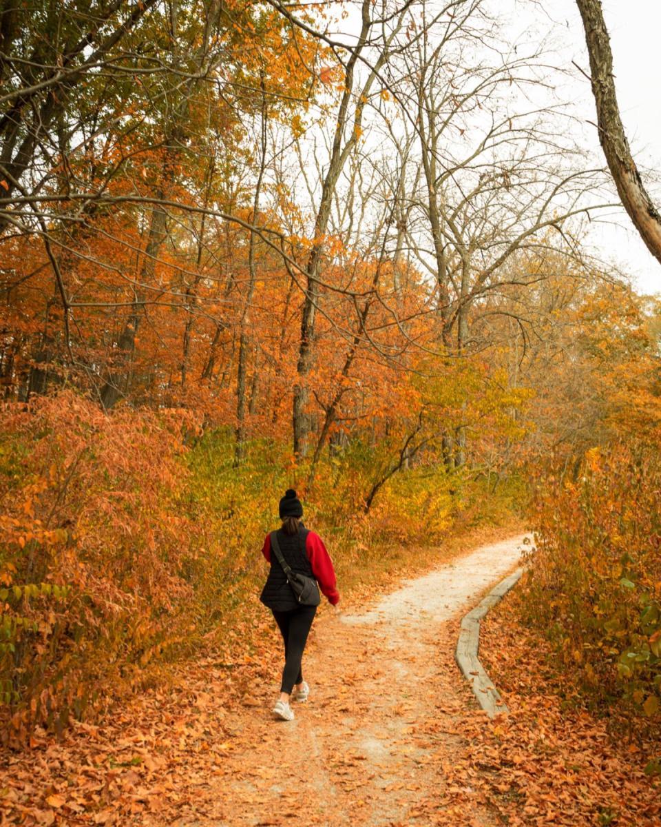 5 Ways to Experience Fall Colors in Greater Des Moines