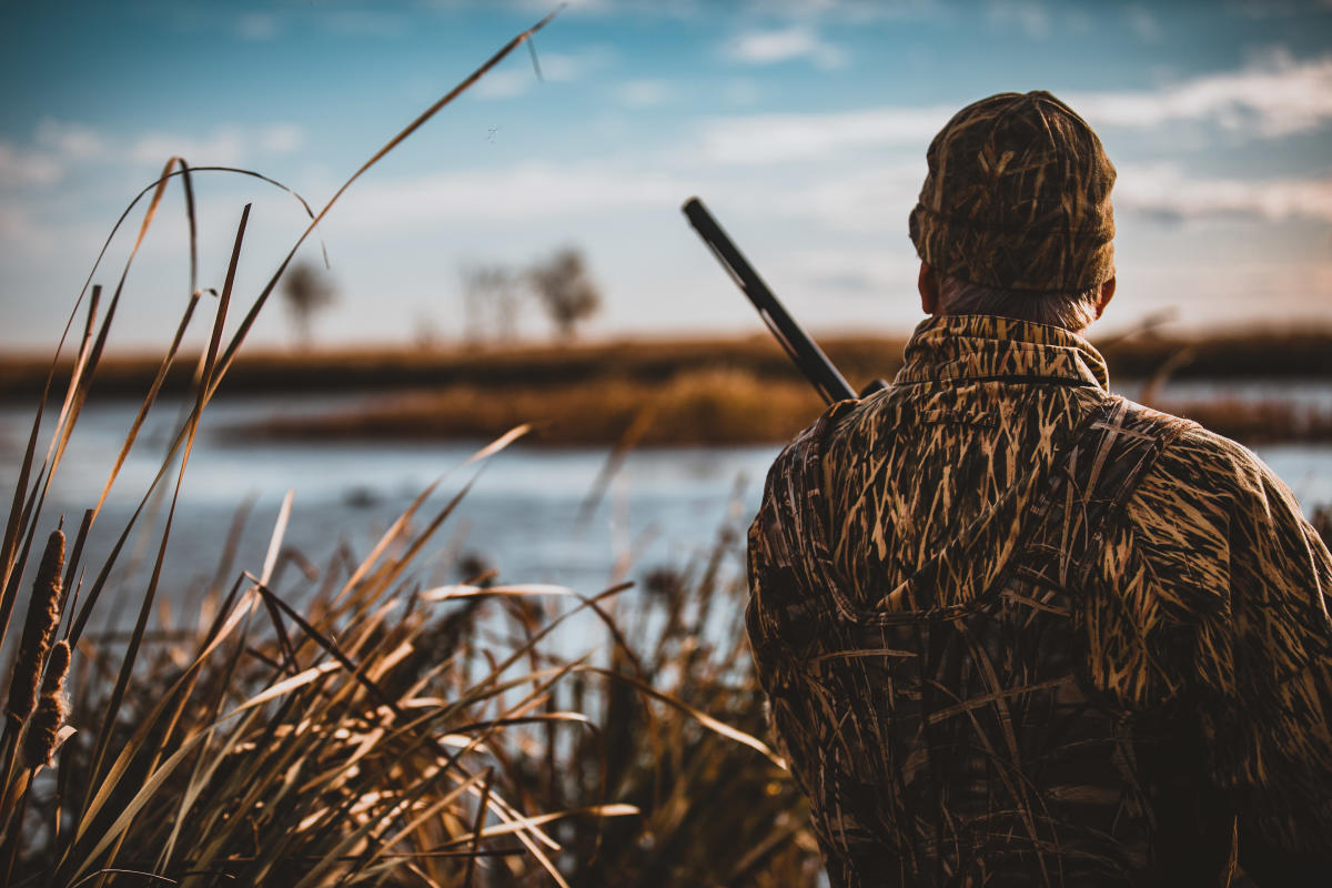 Interactive Plot Maps