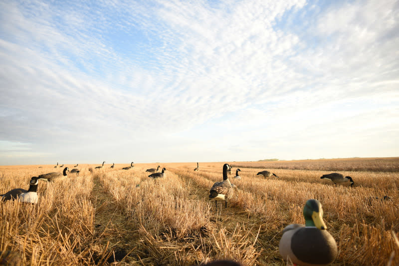 Gearing Up for Fall In Devils Lake