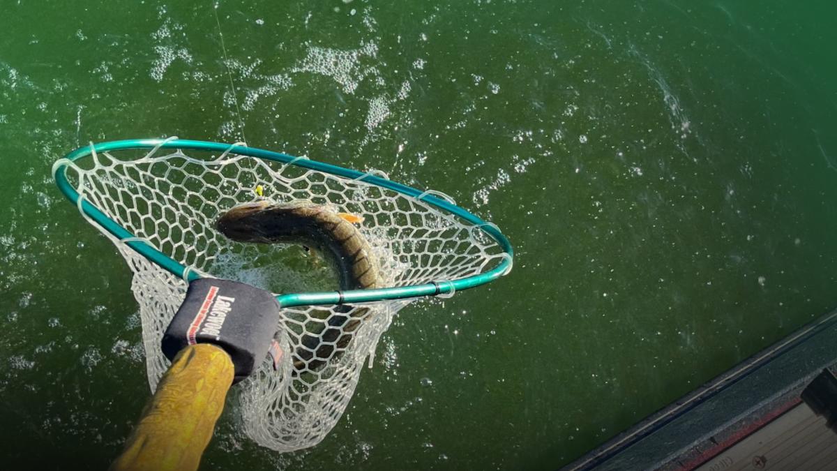 Devils Lake Fishing & Hunting Update: Tips from Garrett Bonham of Bri’s ...