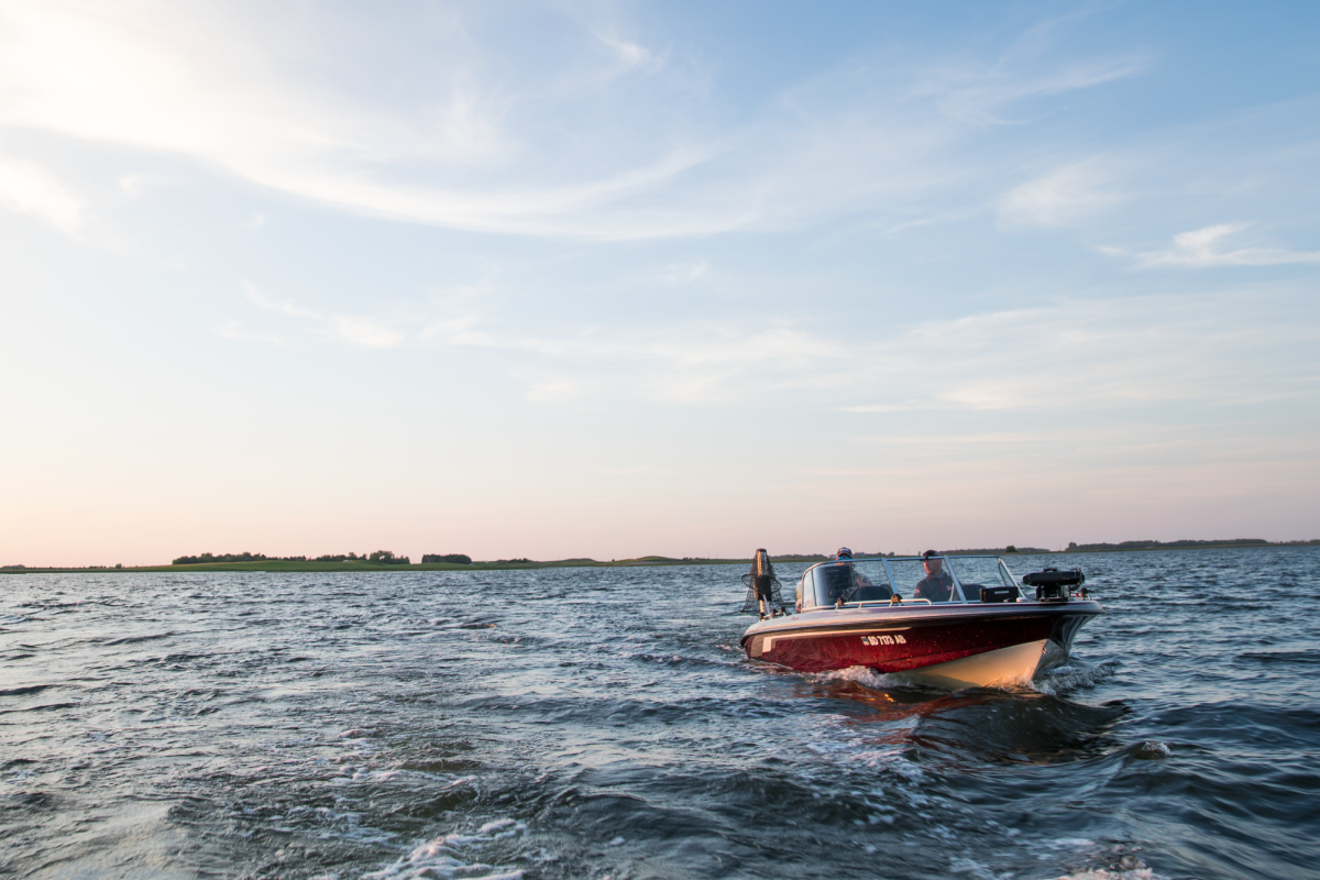 Trip Ideas & Itineraries