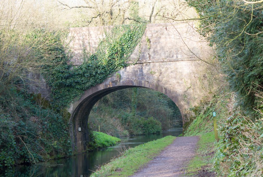 Discover the Grand Western Canal in Tiverton, Mid Devon