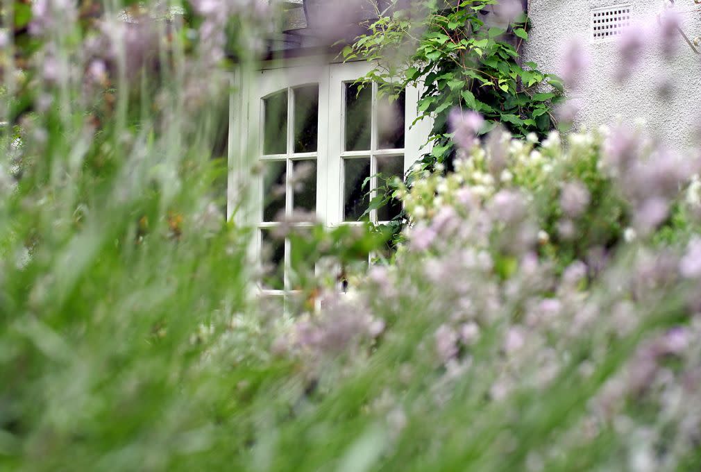 Where to Stay in Mid Devon