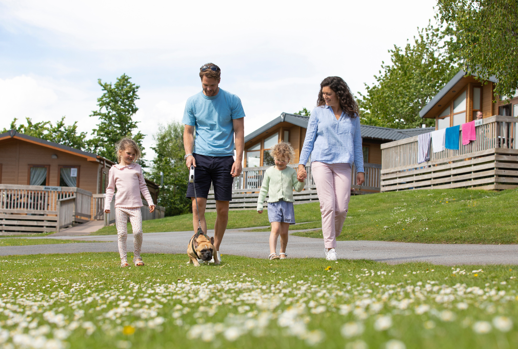 Plan the Perfect Summer in Devon