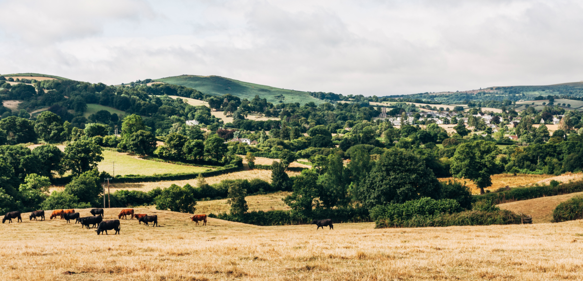 What's On in Chagford