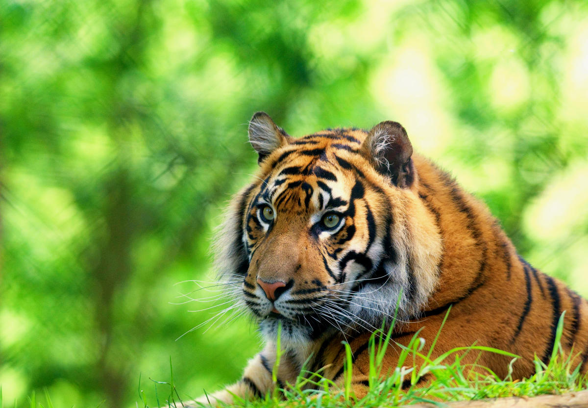 Attractions in Devon