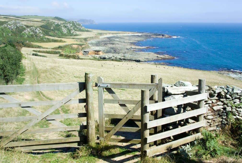 South Devon Walks & Hikes: Coastal Paths to Moorland Trails